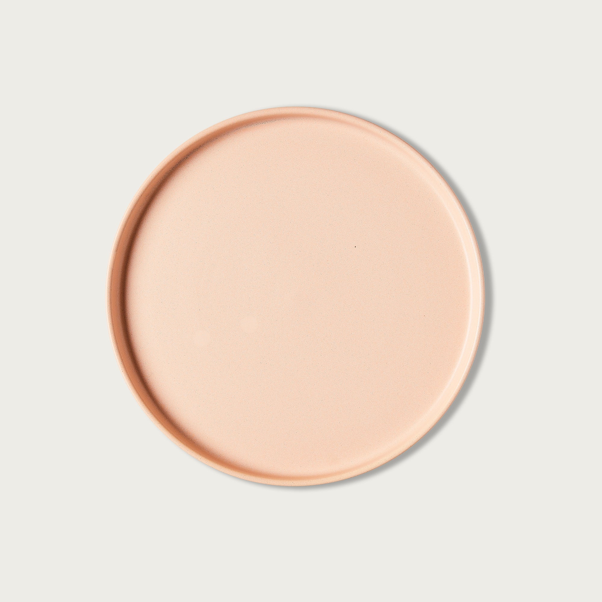 Pastel Peach Stoneware Dinner Plate – The Social Kitchen